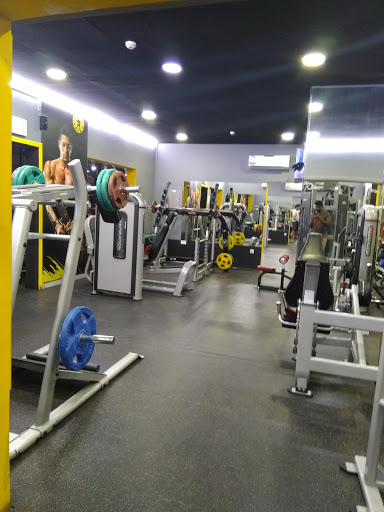 Al Aman Gym – Fitness Facility at Doha | Fitlynk